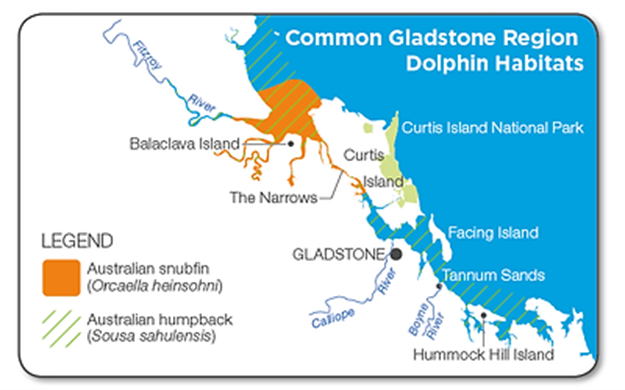 Cetaceans - Gladstone Ports Corporation